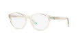Polo PP8546U Eyeglasses | FramesDirect.com