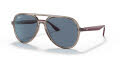 Ray-Ban RB4376 Sunglasses | FramesDirect.com