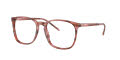 Ray-Ban RB5387 Eyeglasses | FramesDirect.com