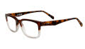 Wiley X WorkSight WX Judge with Side Shields Eyeglasses | FramesDirect.com