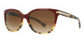 Coach HC8132 Sunglasses | Free Shipping
