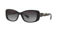 Coach HC8168 Sunglasses | FramesDirect.com