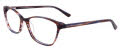 Easyclip EC428-With Magnetic Clip on Lens Eyeglasses