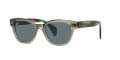 Ray-Ban RB0880S Sunglasses | FramesDirect.com