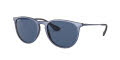 Ray-Ban RB4171 - Erika Sunglasses | FramesDirect.com