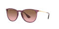 Ray-Ban RB4171 - Erika Sunglasses | FramesDirect.com