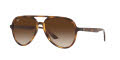 Ray-Ban RB4376 Sunglasses | FramesDirect.com