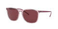 Ray-Ban RB4387 Sunglasses | Free Shipping