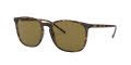Ray-Ban RB4387 Sunglasses | Free Shipping