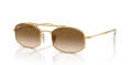 Ray-Ban RB3719 Sunglasses | FramesDirect.com