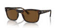 Ray-Ban RB4428 Sunglasses | FramesDirect.com