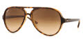 Ray-Ban RB4125 - CATS 5000 Sunglasses | FramesDirect.com