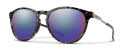 Smith Wander Sunglasses | FramesDirect.com