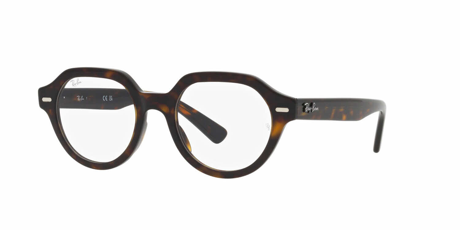 Turtle Shell Ray Ban Glasses