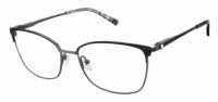Alexander® Eyeglasses | FramesDirect.com