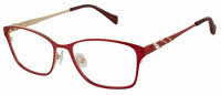 Alexander® Eyeglasses | FramesDirect.com