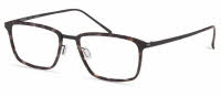 MODO® Eyeglasses | FramesDirect.com