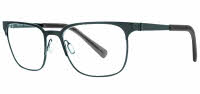 Randolph Engineering® Eyewear | FramesDirect.com