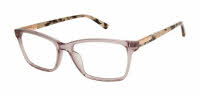 Ted Baker® Eyewear | FramesDirect.com