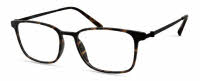 MODO® Eyeglasses | FramesDirect.com