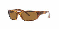 Ray-Ban® Sunglasses | FramesDirect.com